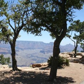 Legend of Three Trees